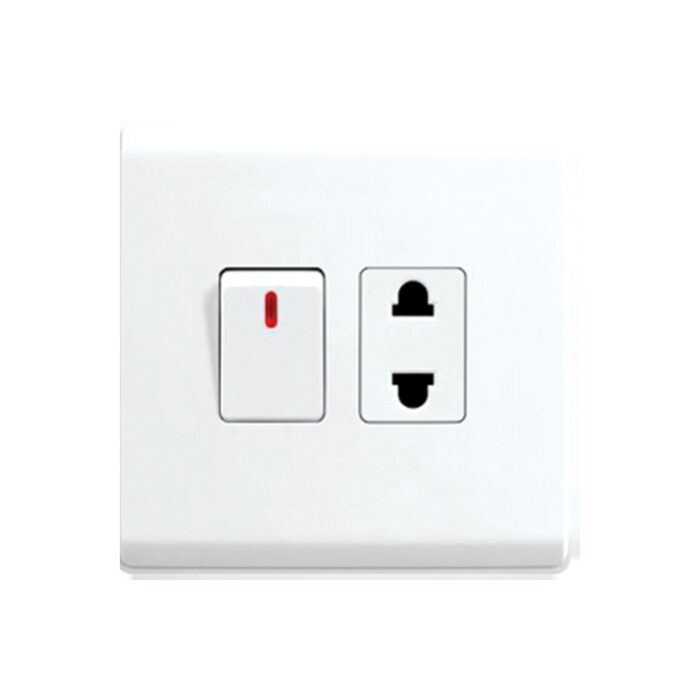 1 Gang Switch & 2 Pin Socket – Appollo Power Ltd.