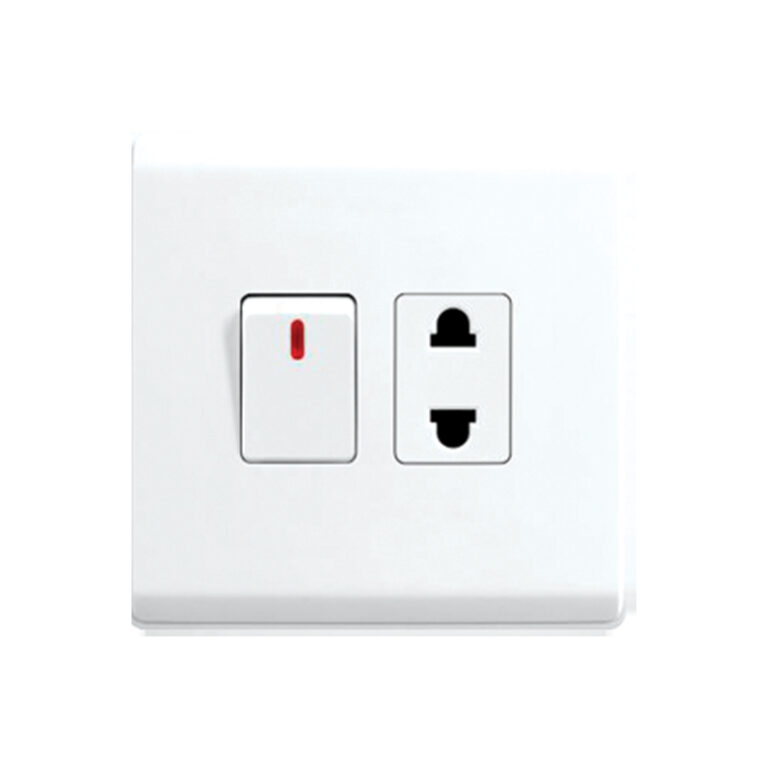 1 Gang Switch & 2 Pin Socket – Appollo Power Ltd.
