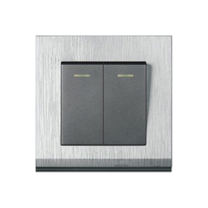 2 Gang 2 Way Switch – Appollo Power Ltd.