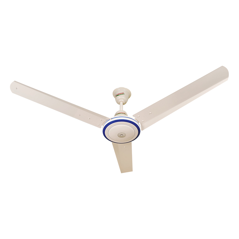 Fan Appollo Power Ltd 